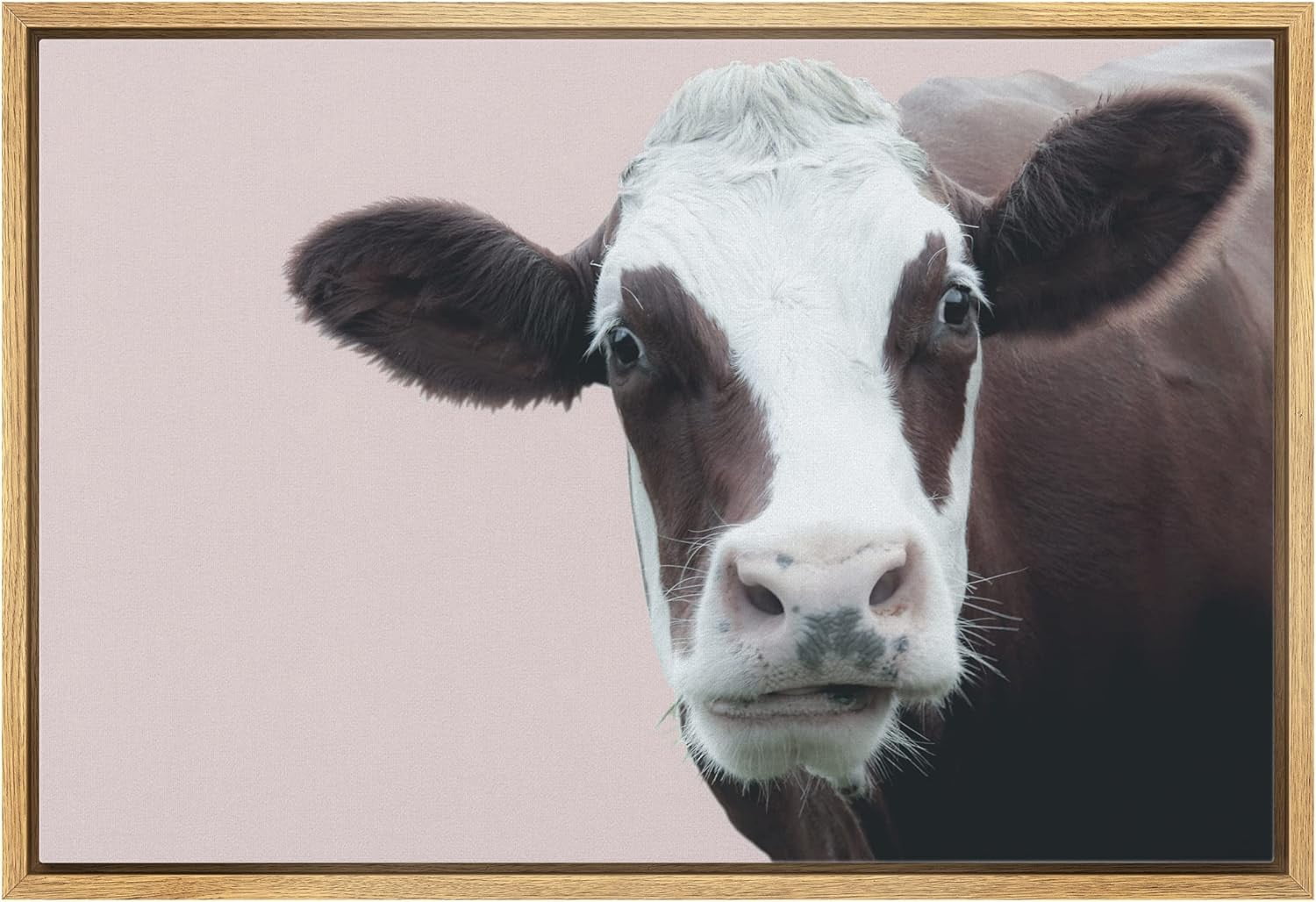 AEFER Unframed Canvas Print Wall Art Wide-Eyed Farm Cow on Pink ...