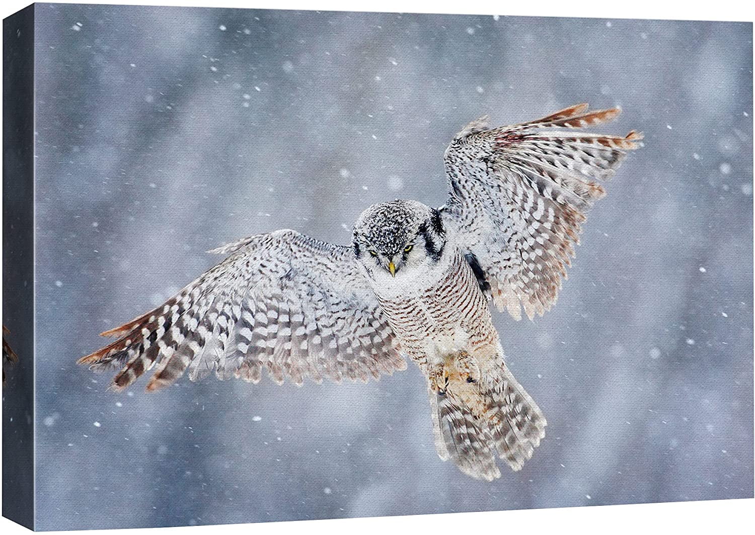 AEFER Unframed Wall Art Print Owl Flies Through The Snow Animals ...
