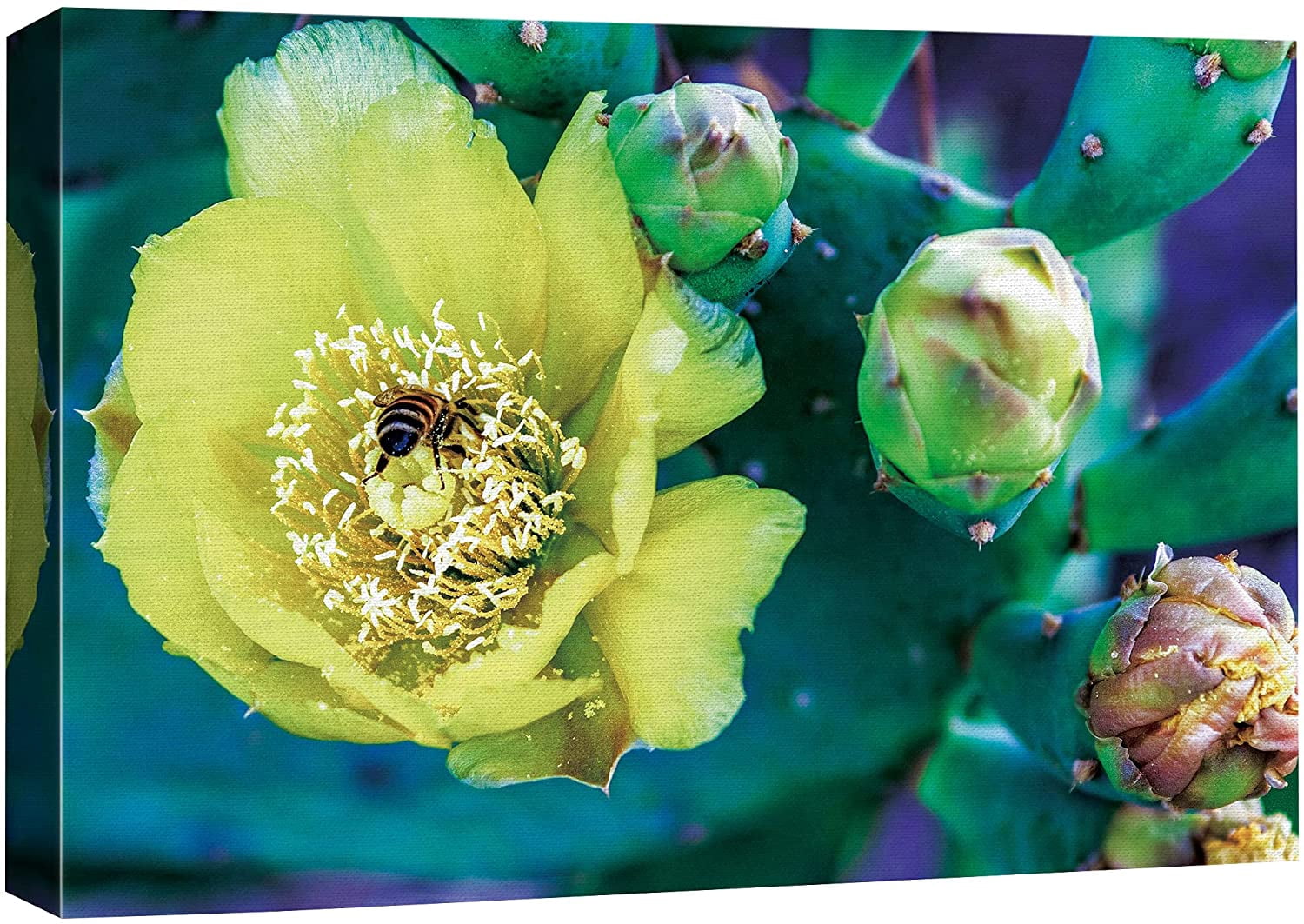 AEFER Unframed Wall Art Print Yellow and Green Cactus Flower Nature ...