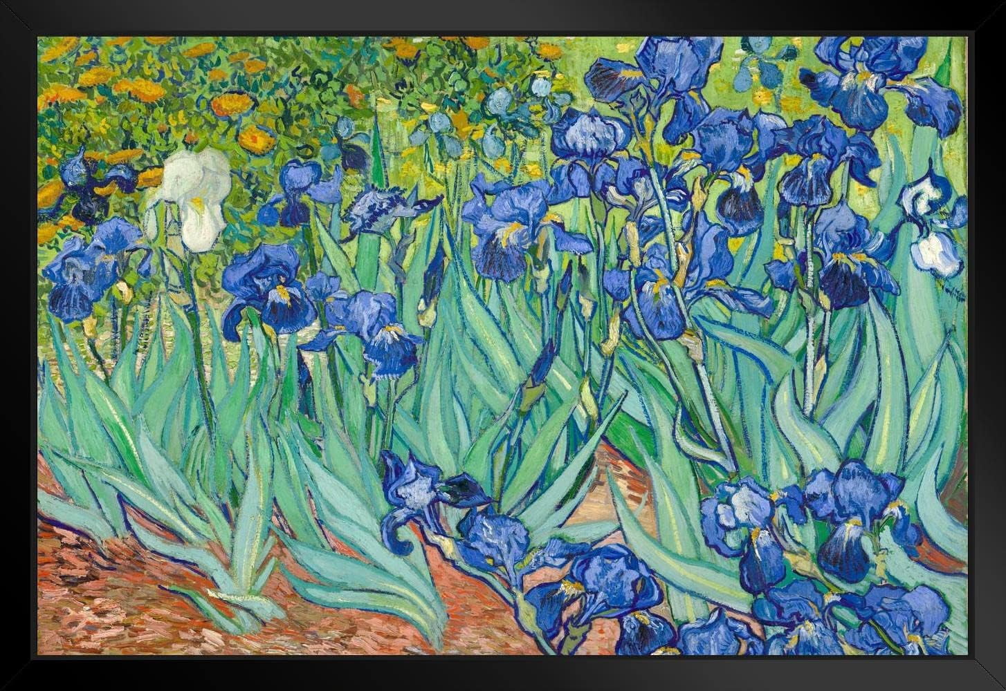 AEFER Vincent Van Gogh Irises Flower Poster 1890 Dutch Post ...