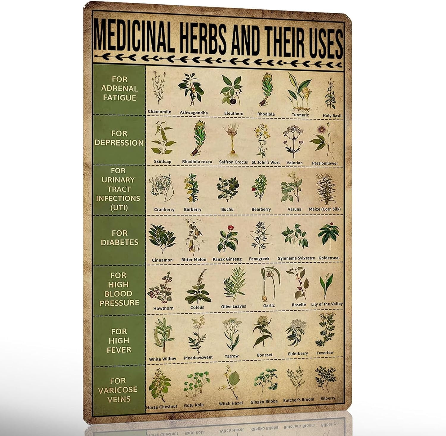 AEFER Vintage Herb Knowledge Metal Tin Sign Homesteading Knowledge ...
