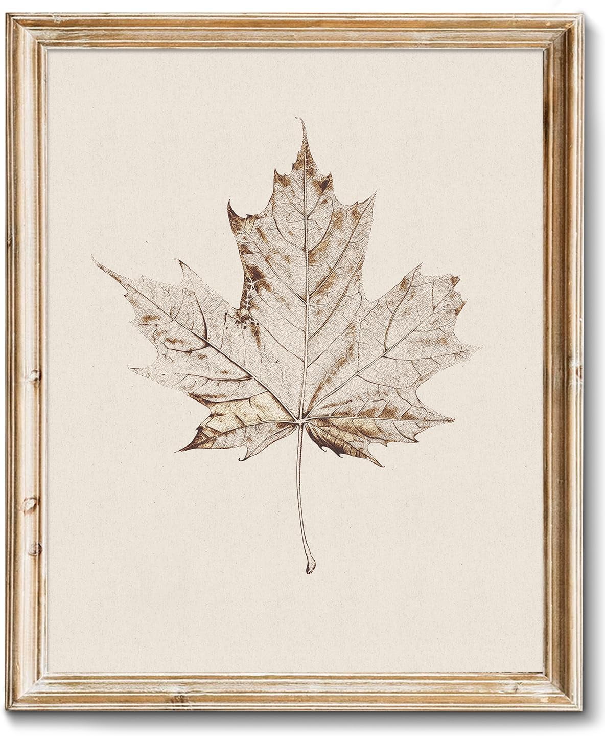 AEFER Vintage Maple Leaf Wall Art, Antique Maple Leaf Sketch Art ...