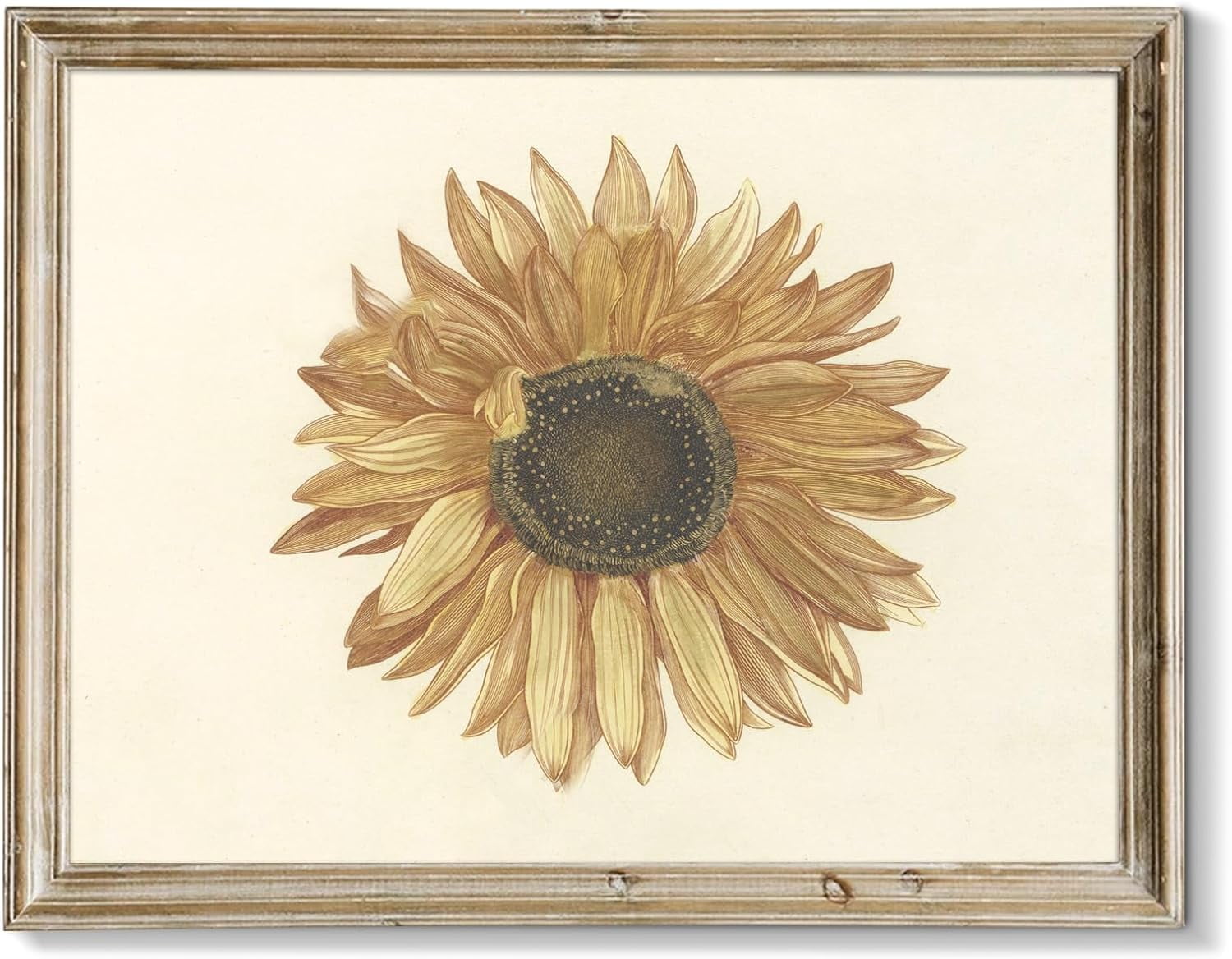 AEFER Vintage Sunflower Wall Art, Antique Sunflower Sketch Art ...