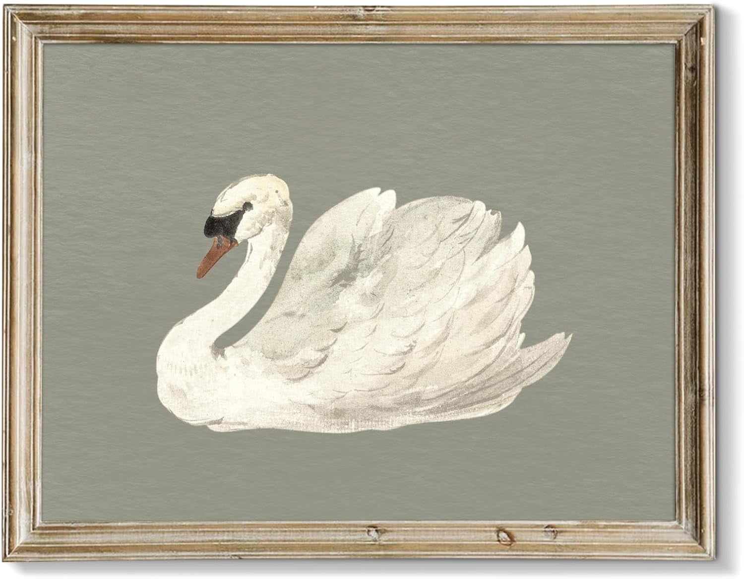 AEFER Vintage Swan Canvas Wall Art - Swan Vintage Sage Green Art Prints ...