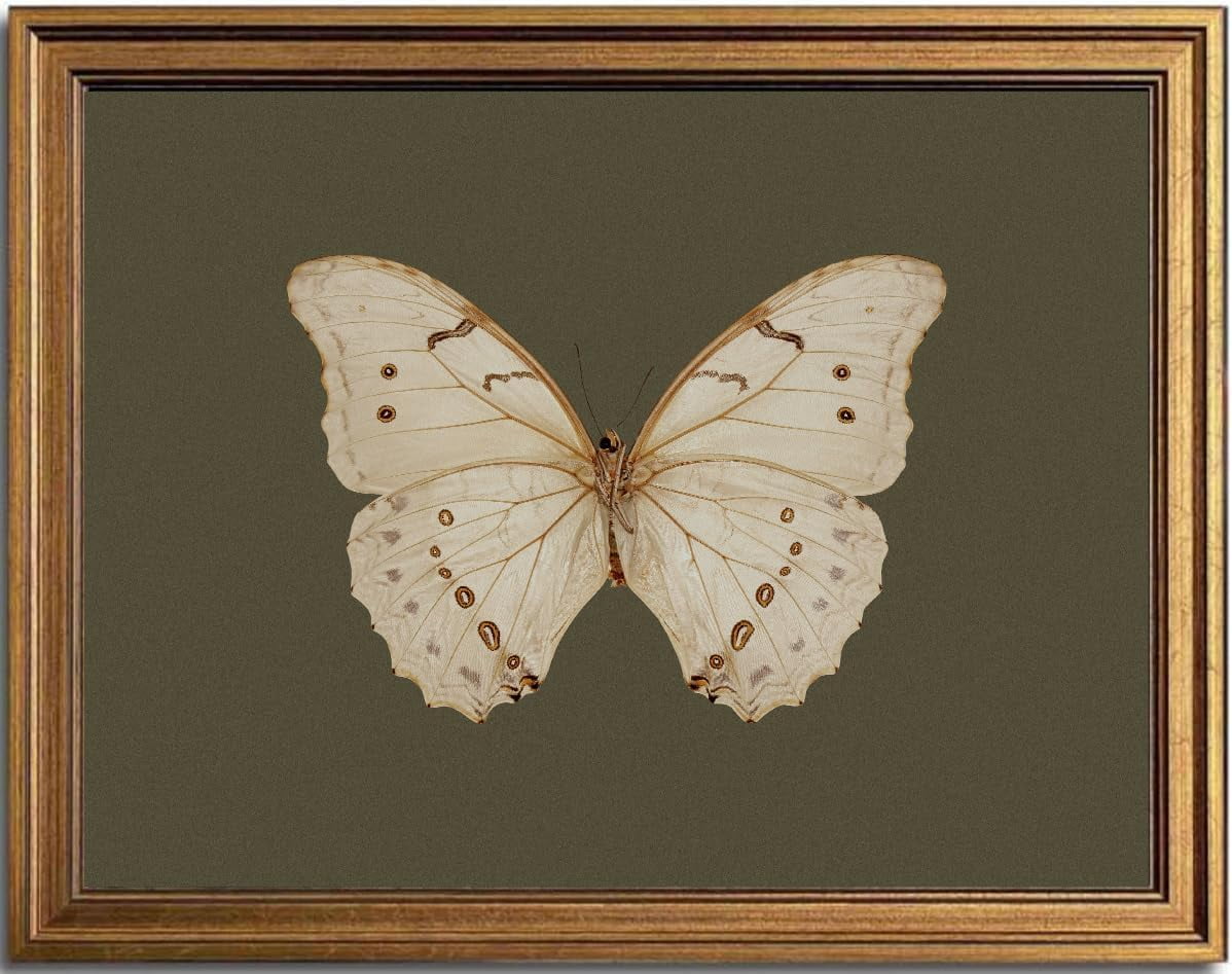 AEFER Vintage White Butterfly Wall Art, Framed Wall Art Insect Pictures ...