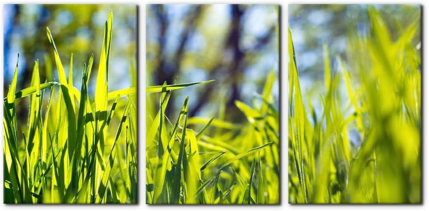 AEFER Wall Art Print Blades of Grass on Spring Morning Painting Wall ...