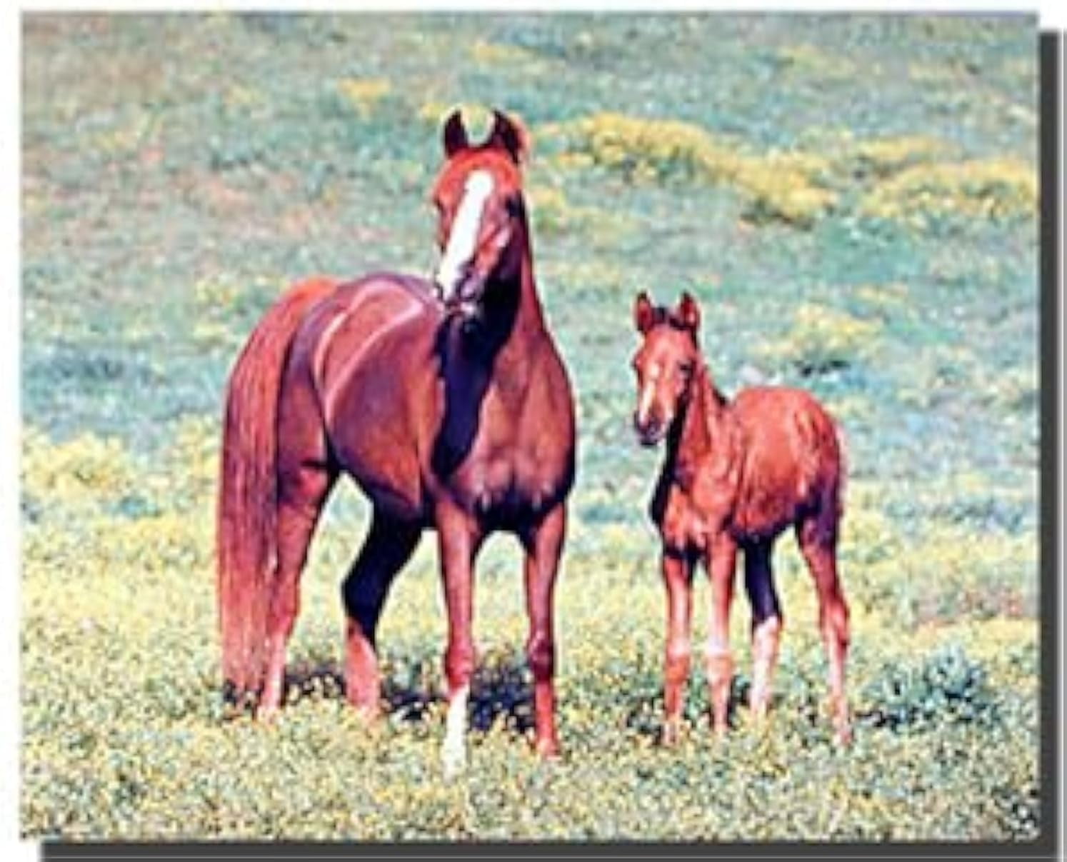 AEFER Wild Animal Arabian Horse Mare and Foal farm equine Wall Decor ...