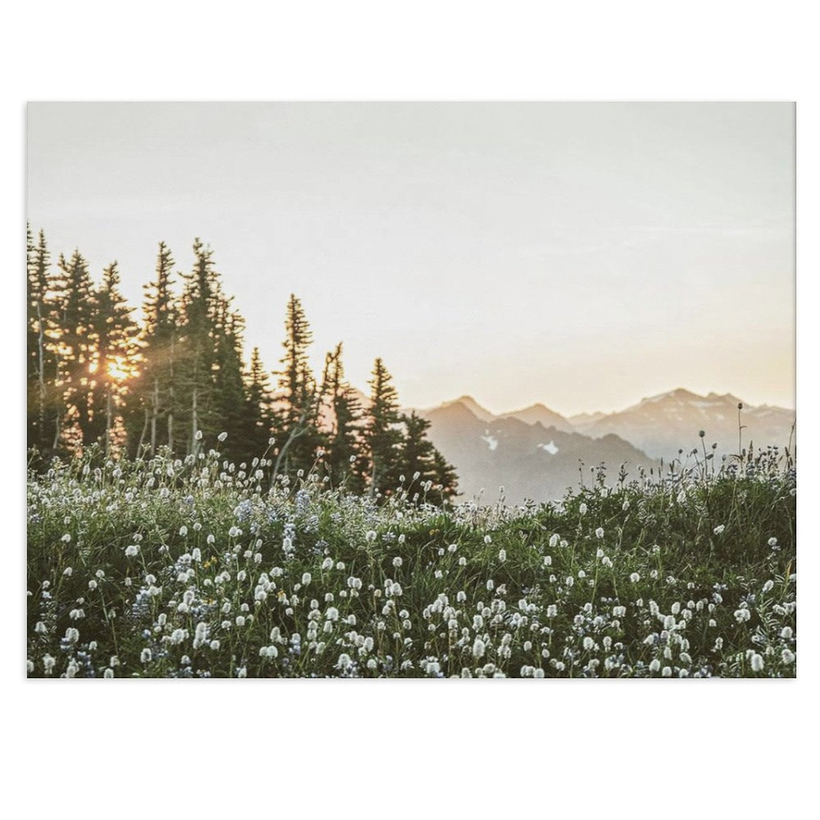 AVOI Wildflowers Photography Wall Art, Nature Landscape Field Canvas ...