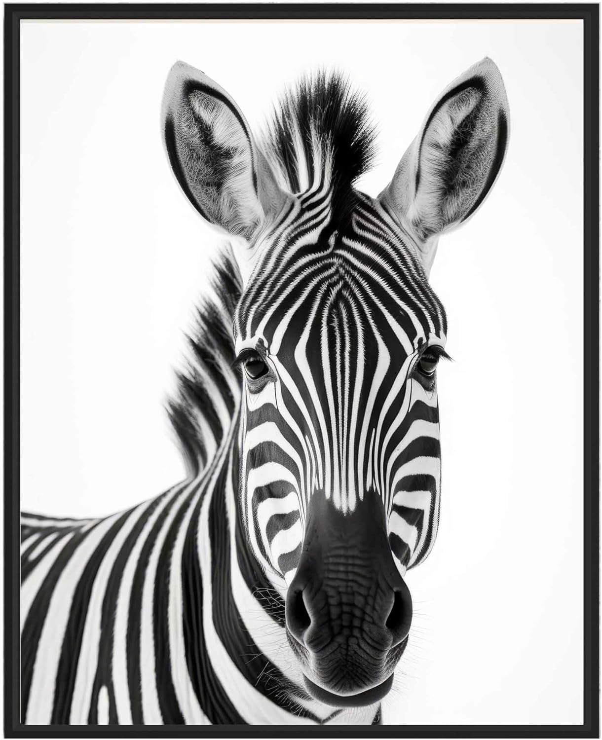 AEFER Zebra Art Prints Posters, Black and White Photography Wall Art ...