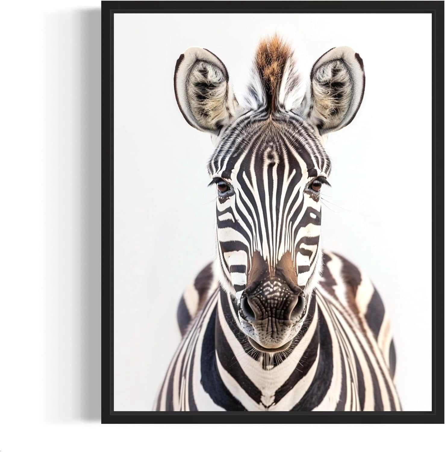 AEFER Zebra Poster Art Print, Animal Portrait Wall Art Nature Decor ...