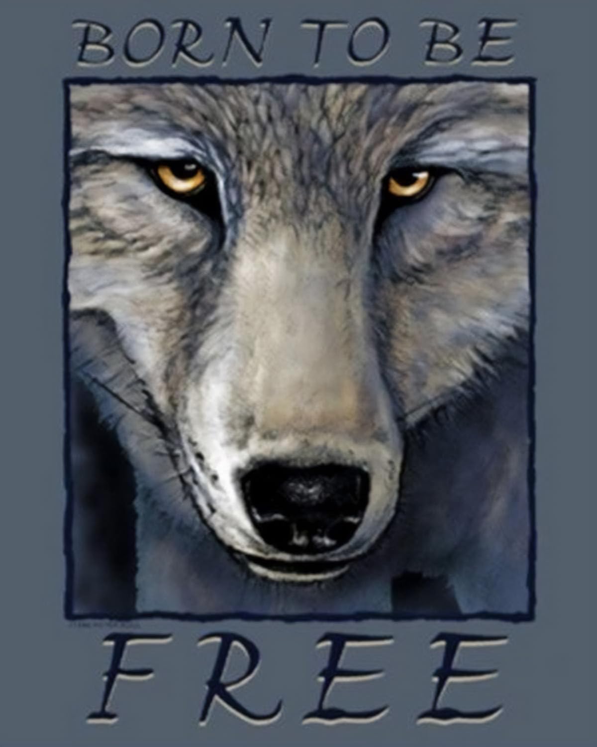 AEFER buyartforless Wolf Eyes by Peter Kull Art Print Poster Born to Be ...