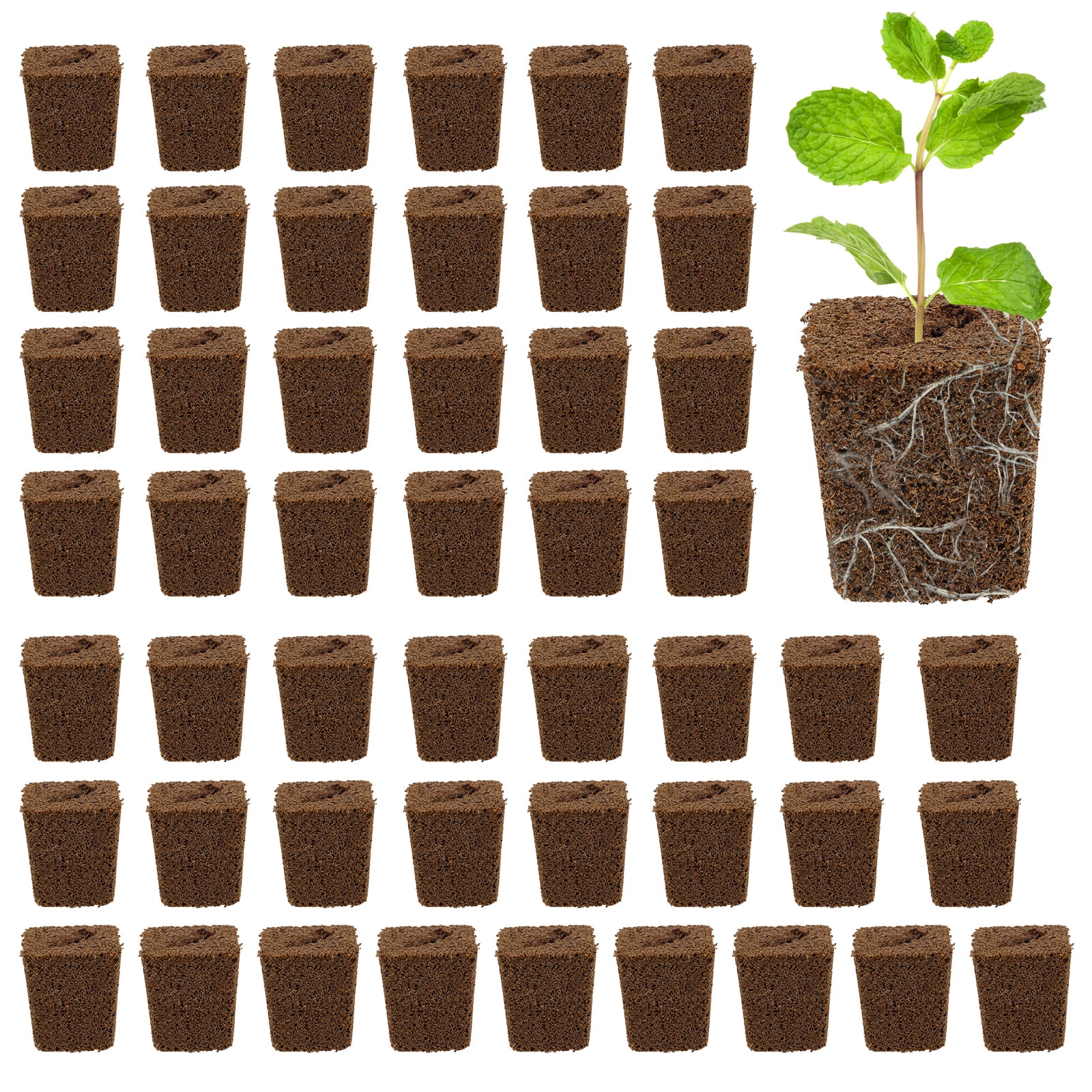 AEVXKHI 50PCS Grow Sponges, Seed Pods Seed Starter Pod, Root Growth ...