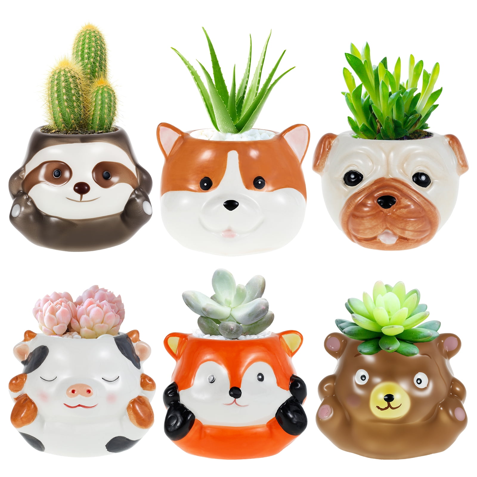 AEVXKHI 6PCS Ceramic Succulent Pots, Cute Succulent Pet Pots, Ceramic ...