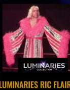 AEW - 1 Figure Pack (Unmatched Figure) W12 - LUMINARIES Ric Flair CHASE - Walmart.com