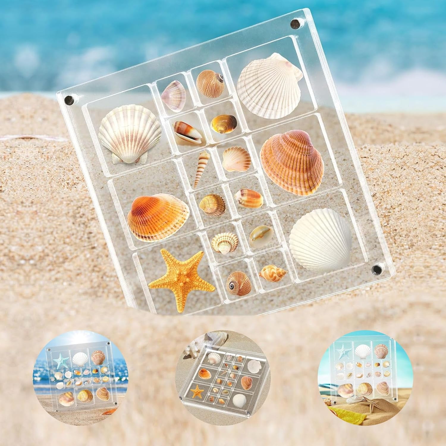 AEXTO 36 Grids Acrylic Display Box - Clear Shadow Box for Seashell ...