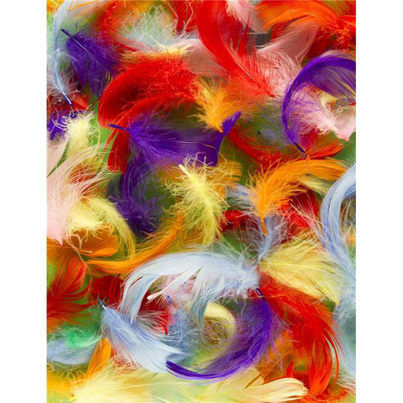 AFD Home 12006029 Feathers Gallery Wrap Art, Multi Color - 48 x 2 x 36 ...