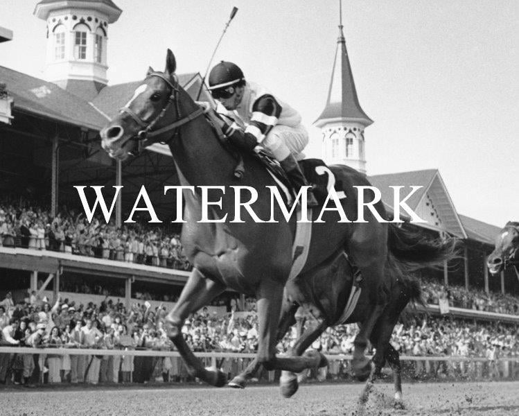 AFFIRMED 1978 Kentucky Derby Winner Horse Racing 8 x 10 Photo Race ...
