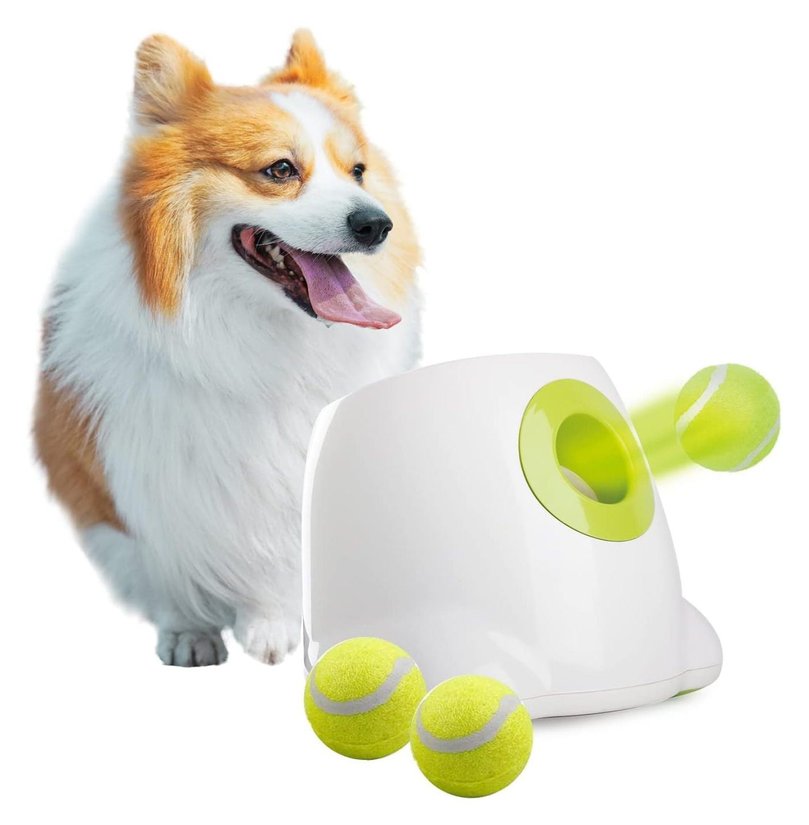 AFP Automatic Launcher for Dogs Interactive Puppy Pet Indoor Thrower ...