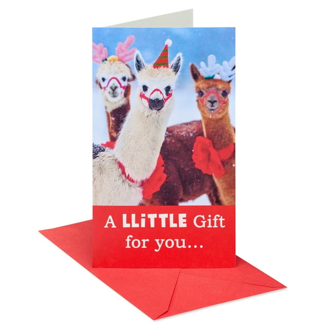 American Greetings Funny Christmas Money Gift Card Holders for Anyone ...