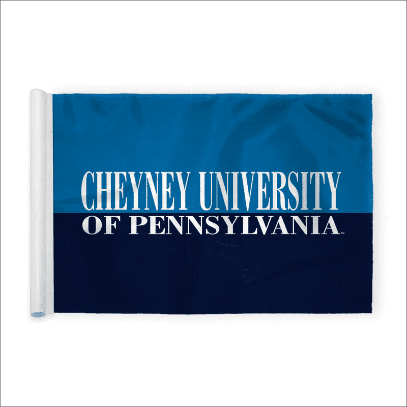 AGAS Cheyney University Wolves Golf Flag with Tube Insert 6"x8", Mini ...