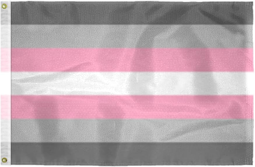 AGAS Demigirl Pride Flag 2x3 Ft - Double Sided Printed 200D Nylon ...