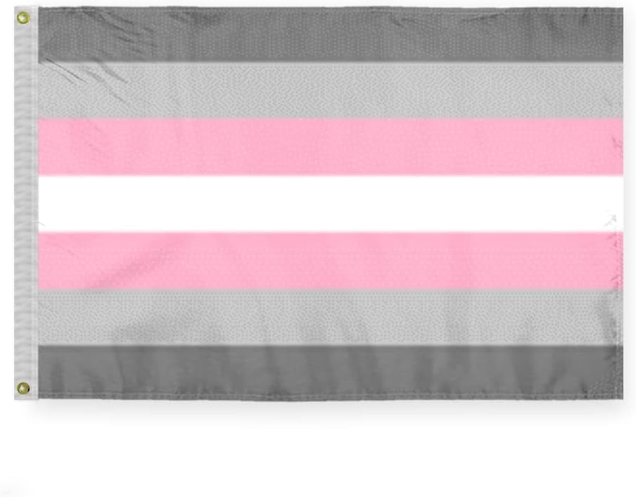AGAS Demigirl Pride Flag 3x5 Ft - Double Sided Polyester - Plated ...
