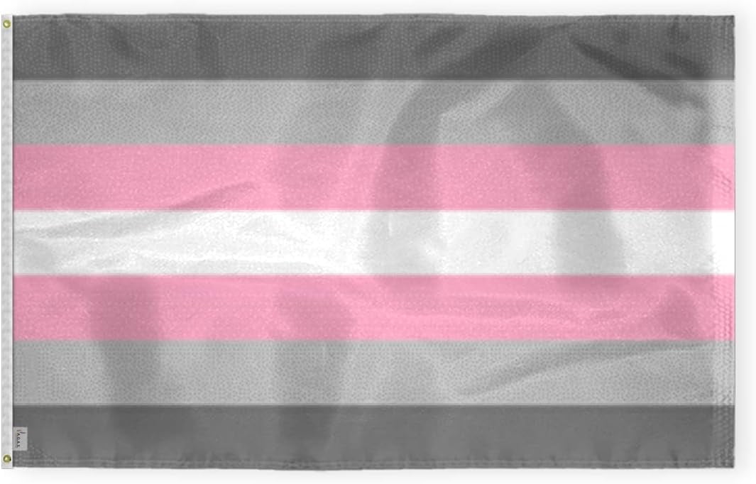 AGAS Demigirl Pride Flag 5x8 Ft - Double Sided Printed 200D Nylon ...