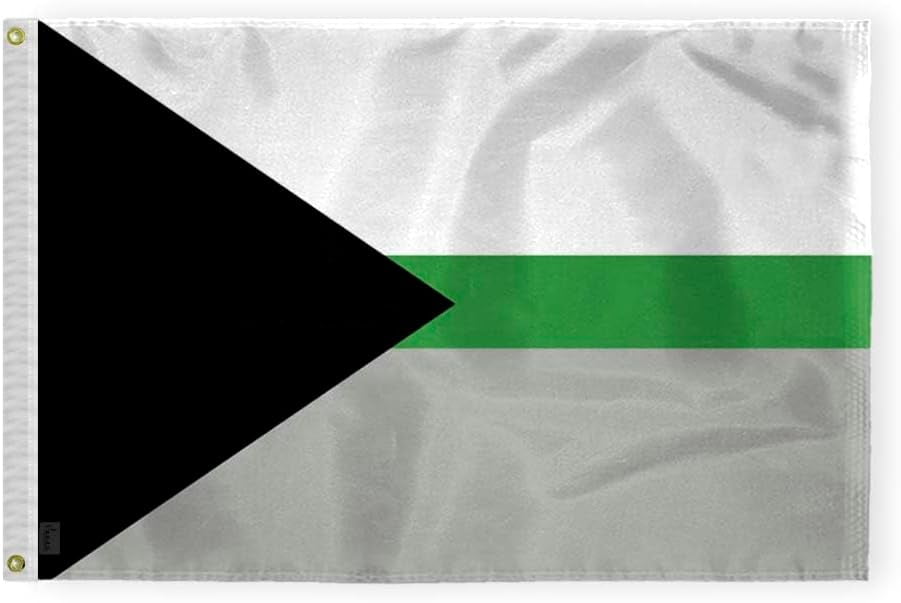 AGAS Demiromantic Pride Flag 2x3 Ft - Printed 200D Nylon - Brass ...