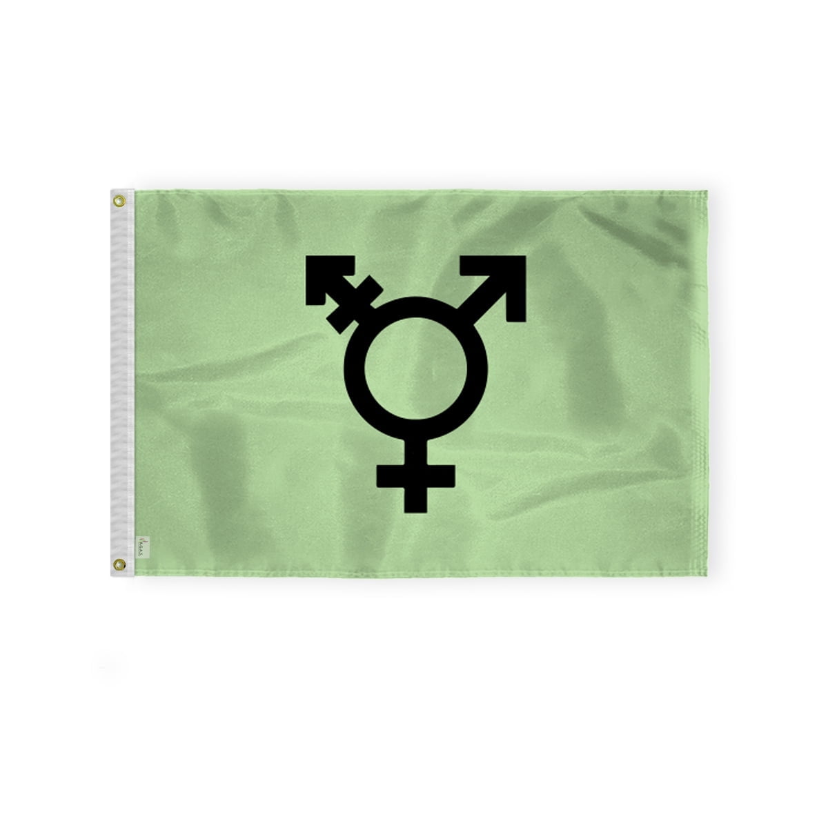 AGAS Israel Jewish Trans Flag 2x3 Ft - Printed 200D Nylon - Brass ...