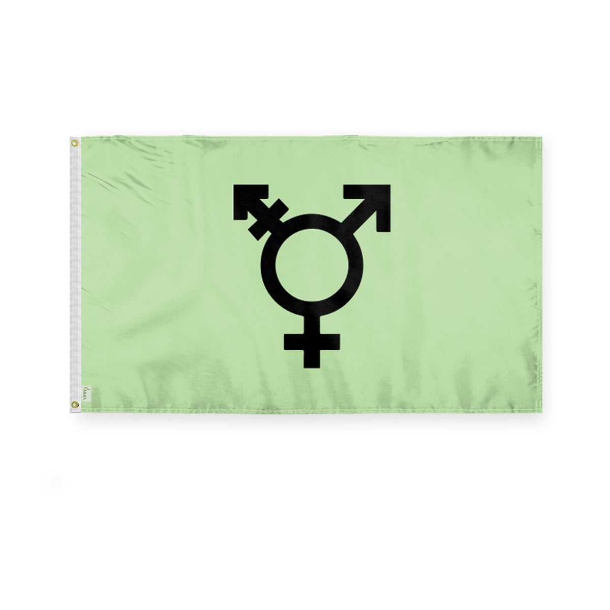 AGAS Israel Jewish Trans Flag 3x5 Ft - Polyester - Plated Grommets ...