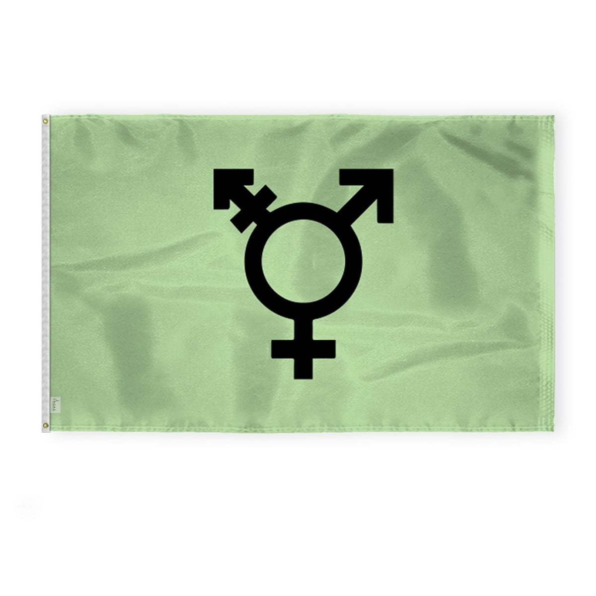 AGAS Israel Jewish Trans Pride Flag 4x6 Ft - Printed 200D Nylon - Brass ...