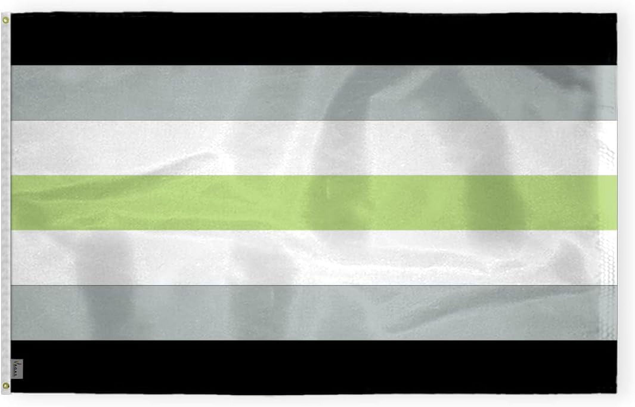 AGAS Large Agender Pride Flag 6x10 Ft - Double Sided Printed 200D Nylon ...
