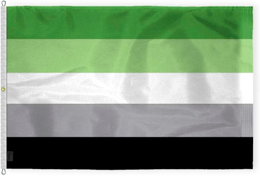 AGAS Large Aromantic Pride Flag 8x12 Ft - Printed 200D Nylon - Rope ...