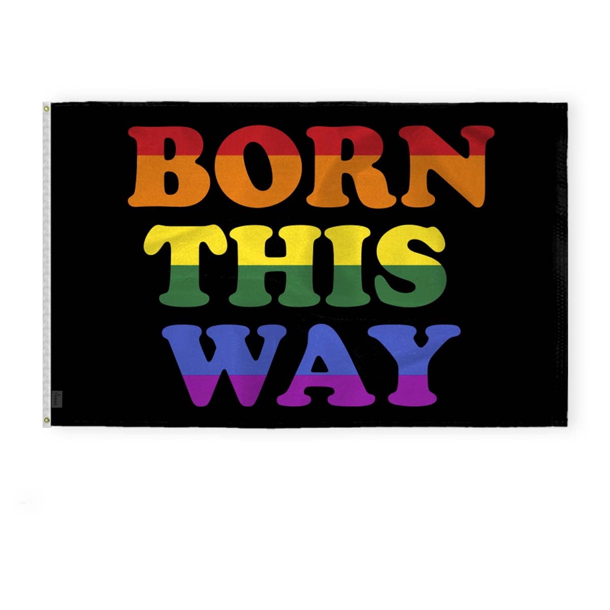 AGAS Large Born This Way Pride Flag 6x10 Ft - Printed 200D Nylon ...