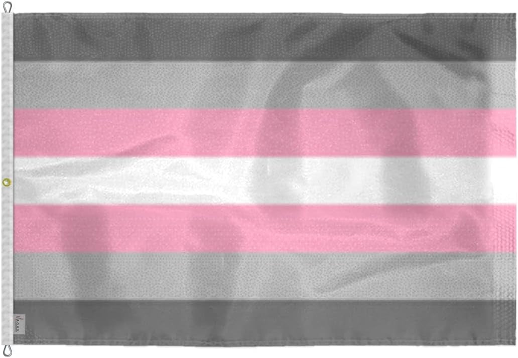 Agas Large Demigirl Pride Flag 8x12 Ft Double Sided Printed 200d Nylon Rope Thimble Brass