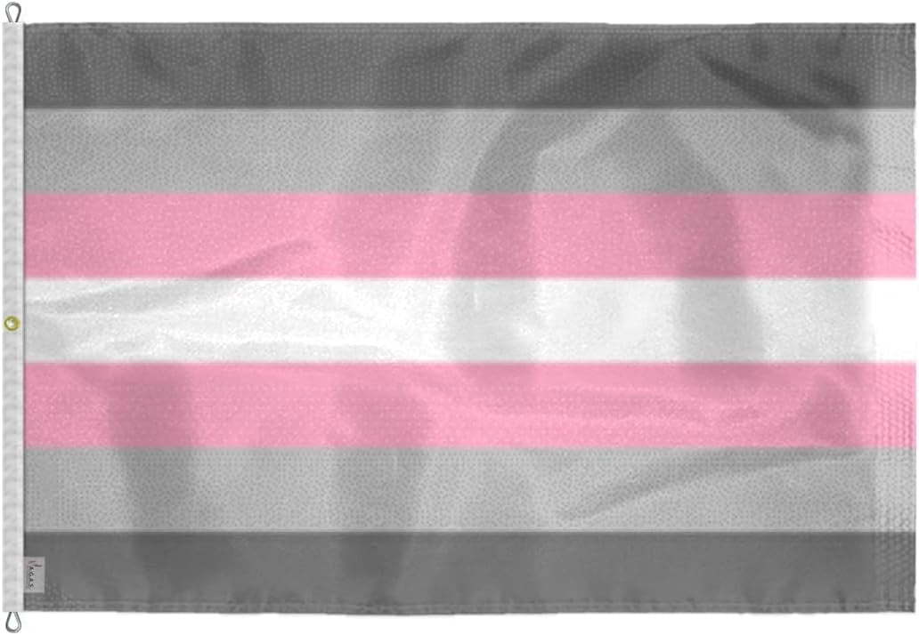 AGAS Large Demigirl Pride Flag 8x12 Ft - Double Sided Printed 200D ...