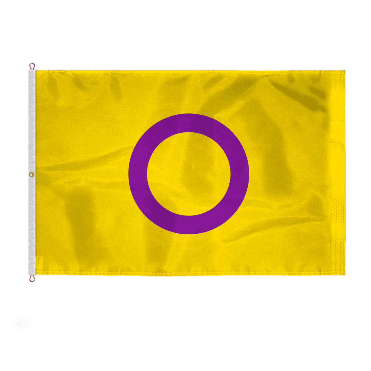 Agas Large Intersex Flag 8x12 Ft Printed 200d Nylon Rope Thimble