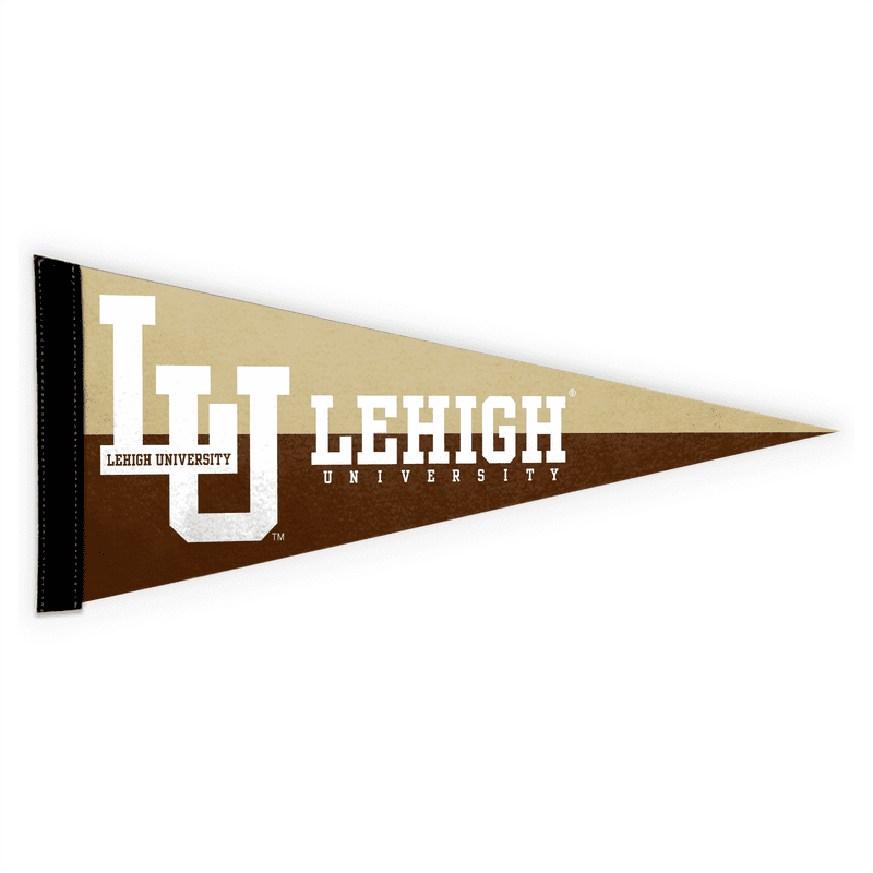 AGAS Lehigh Hawks Pennant Mini, 9 x 24 Inches Sleeve for Stick ...