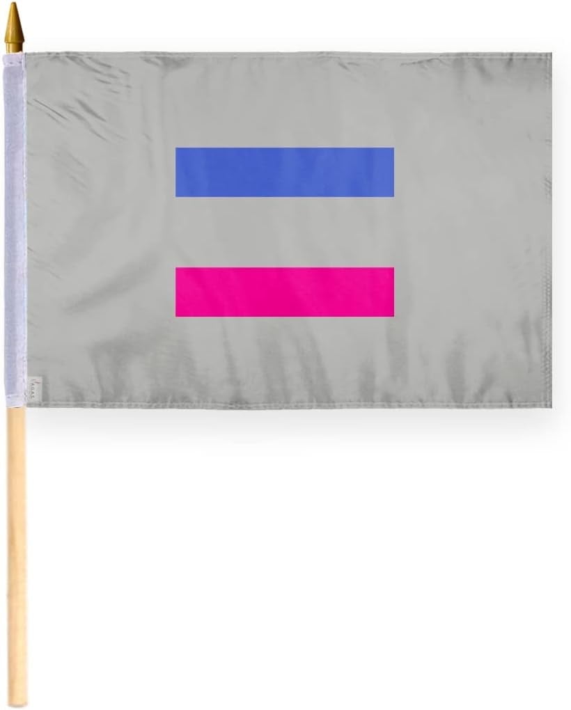 AGAS Mini Androgynous Pride Stick Flag 12x18 inch Flag on a 24 inch ...