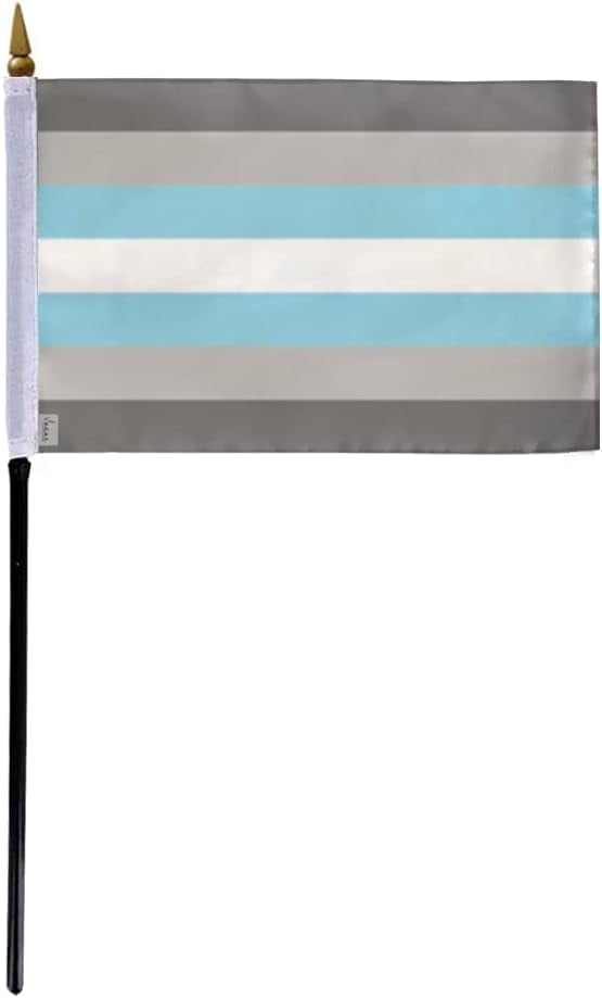 AGAS Small Demiboy Pride Flag 4x6 inch Flag on a 11 inch Plastic Stick ...