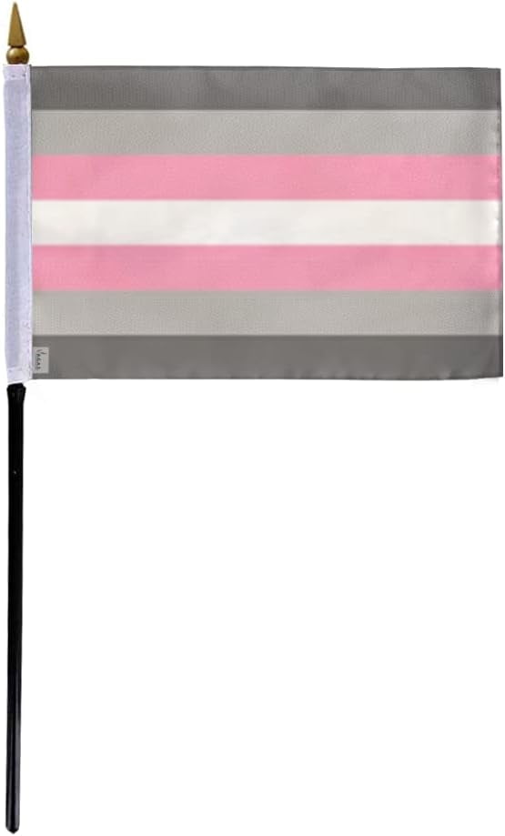 AGAS Small Demigirl Pride Flag 4x6 inch Flag on a 11 inch Plastic Stick ...