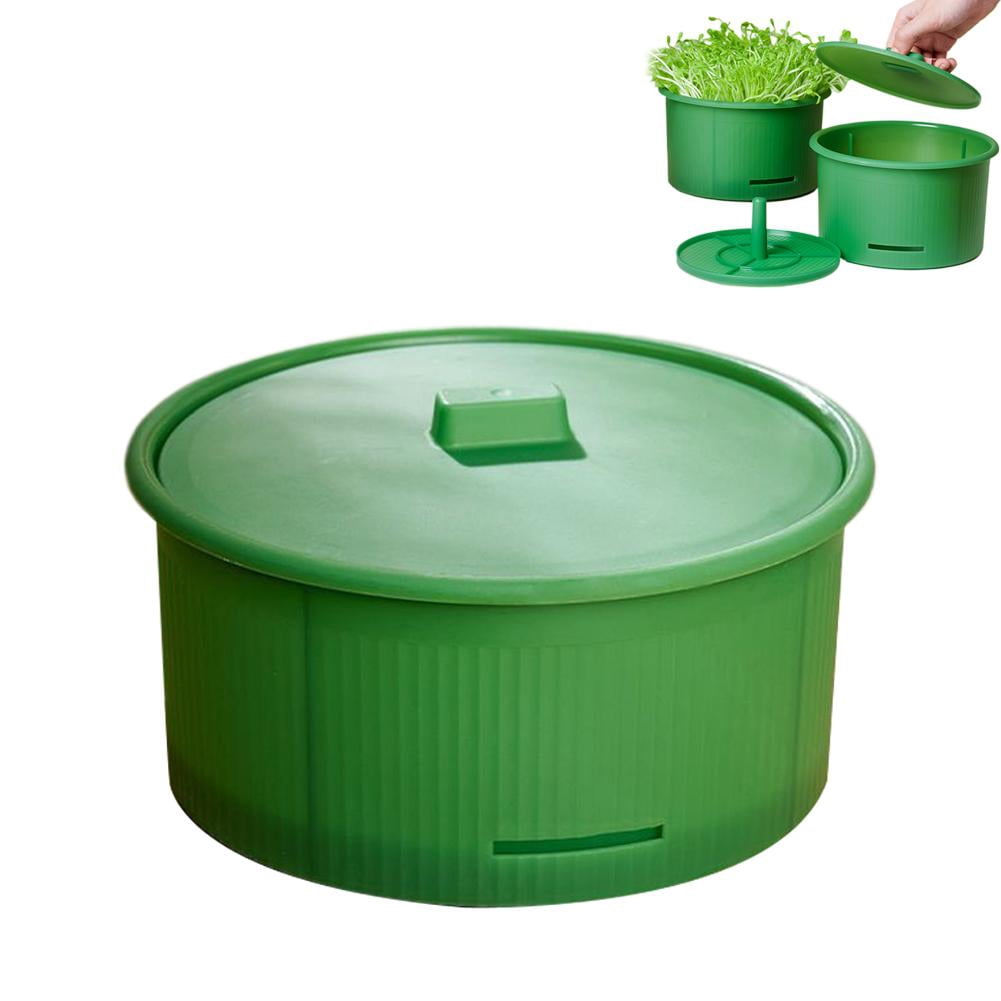 AGIUFGS Bean Sprout Grower Kit with Light-blocking Lid, Festive Holiday ...