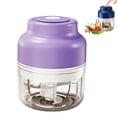 AGIUFGS Electric Garlic Chopper with 250ml Bowl, Festive Holiday ...