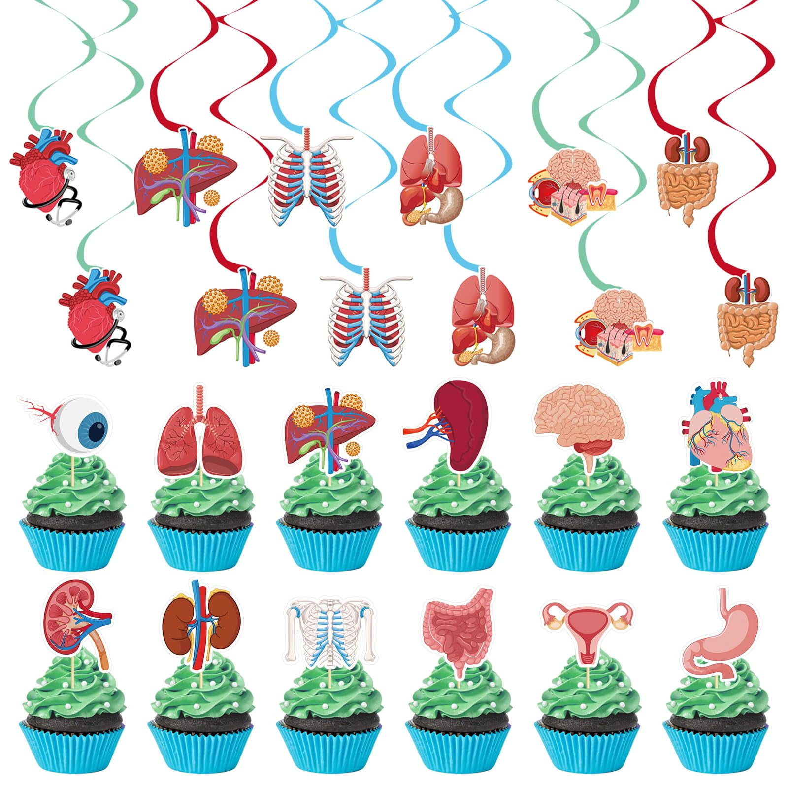 AGLOO Human Anatomy Body DHF10 Party Decoration Set - 12 Cupcake ...