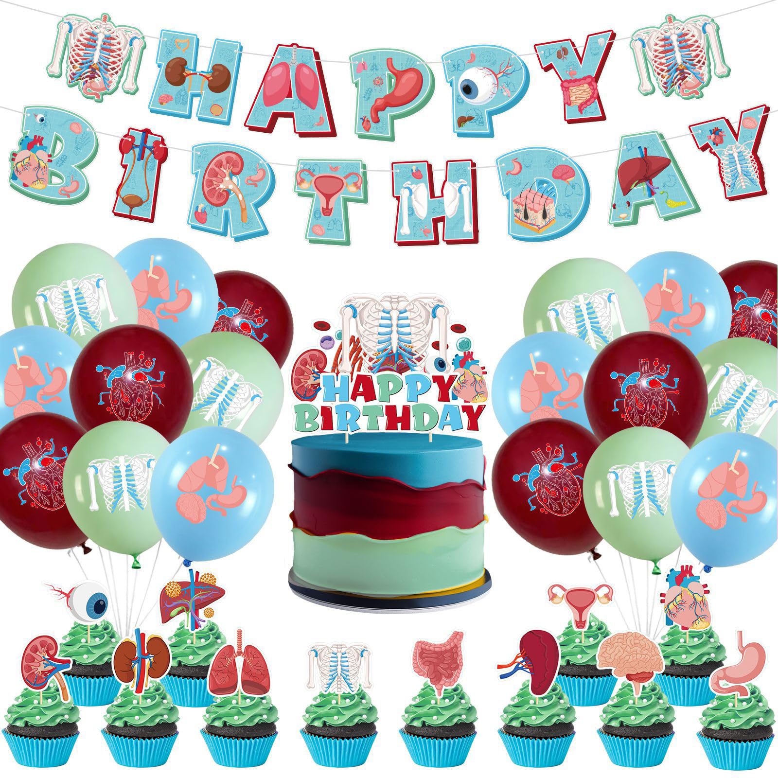 AGLOO Human Anatomy Body MMF7 Decorations - Including Happy Banner ...