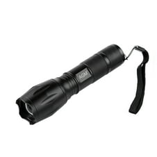 Electric Shock Flashlight