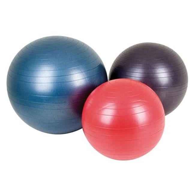 AGM Group 38102 25.59 in. Fitness Ball - Dark Purple - Walmart.com