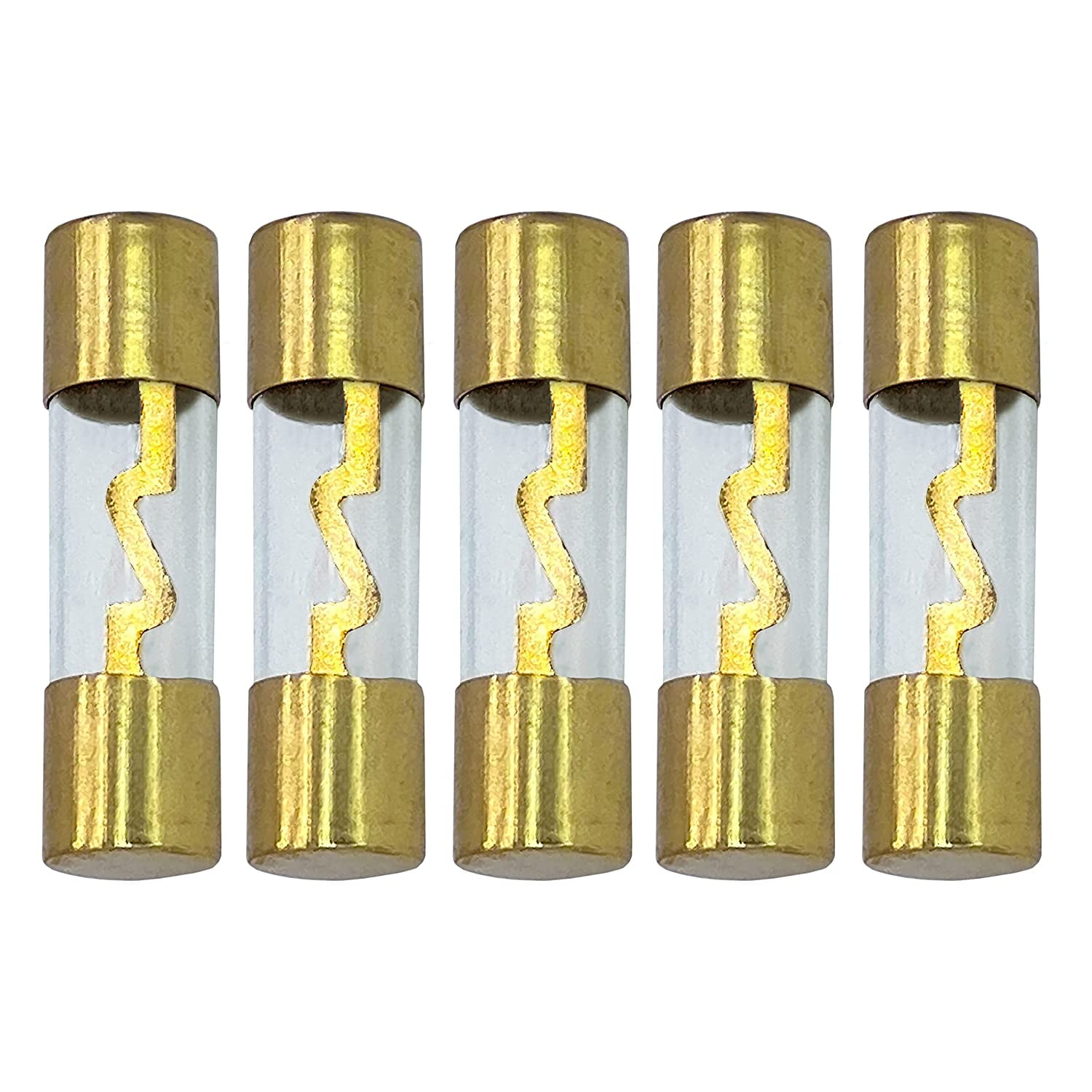AGU Fuse 100A 100 Amp Gold Glass Inline for Car/Auto/Marine Audio ...