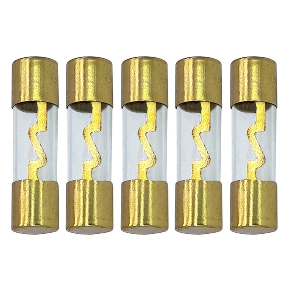 30 Amp Automotive Fuses