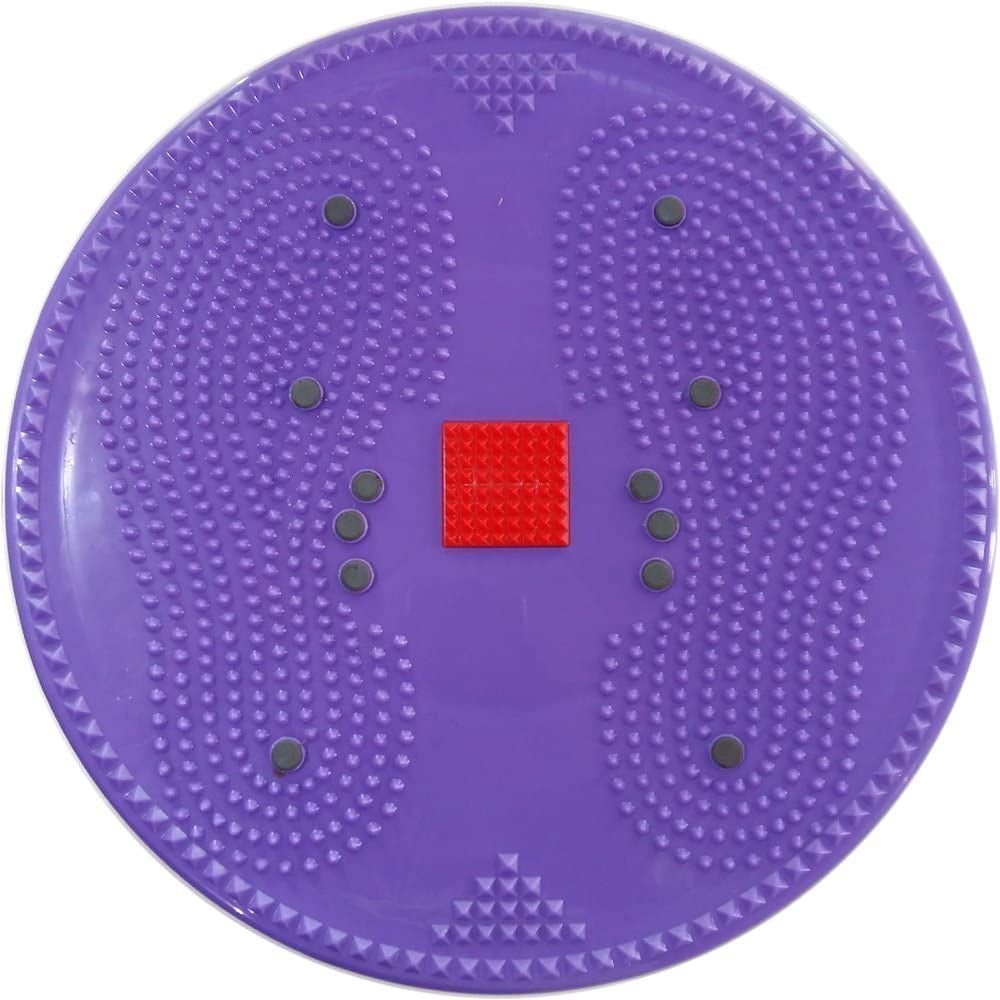 AHCS Acupressure Twister Big Disc Acupressure Pyramid & Magnetic ...